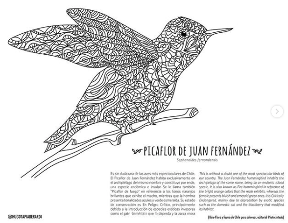 El ilustrador chileno Hugo Tapia libera imágenes de forma gratuita para ...