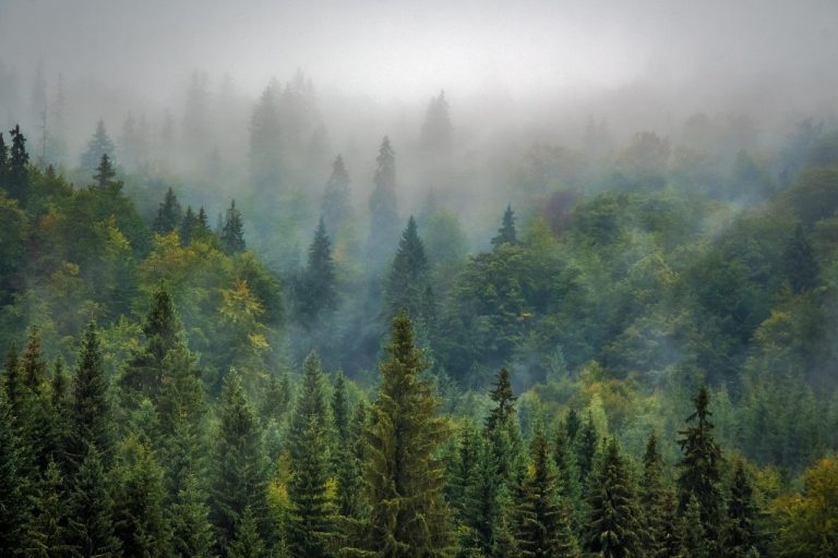 Evergreen Funds Gain Traction Amidst Liquidity Concerns